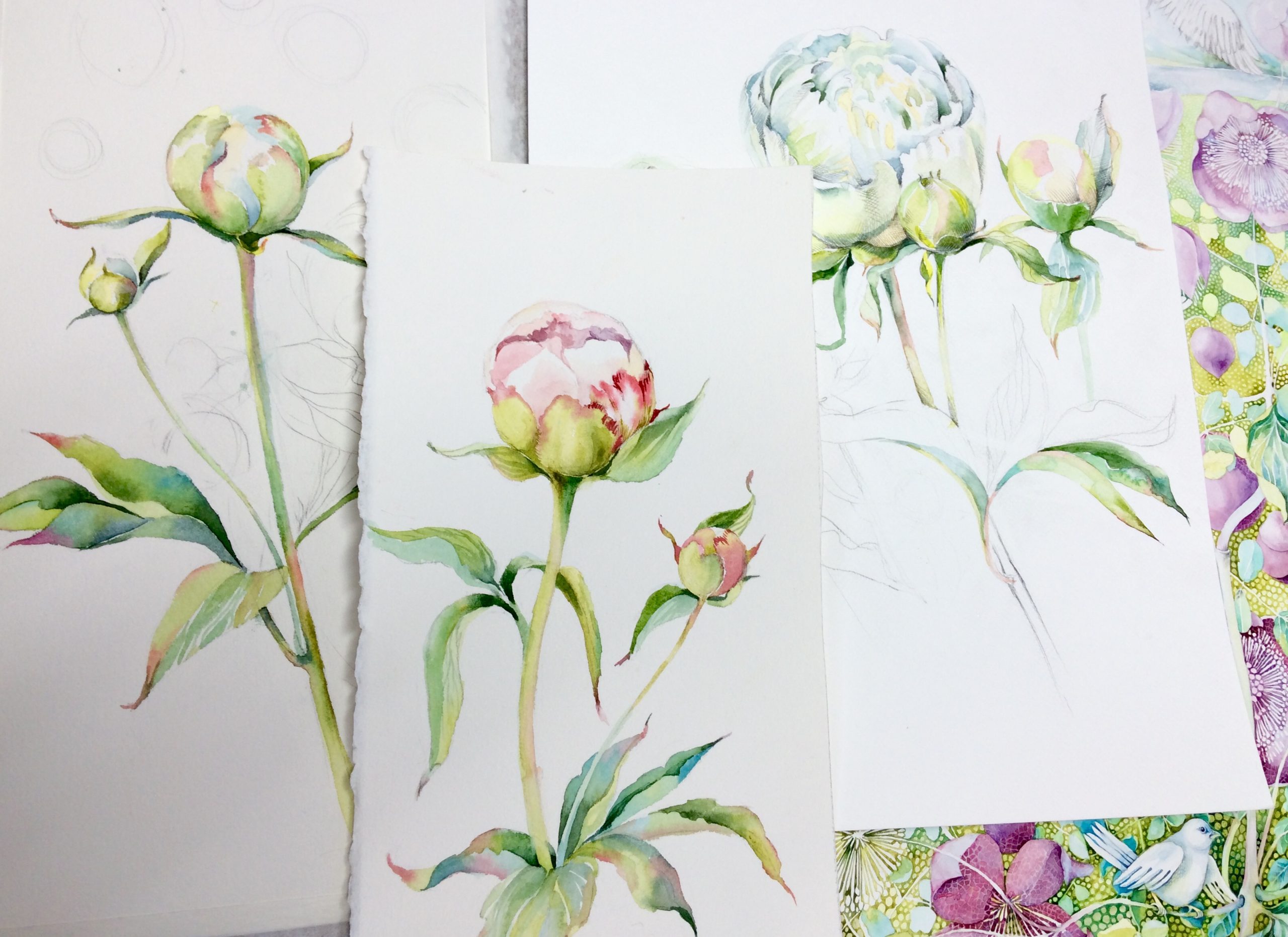 IN PROGRESS…
